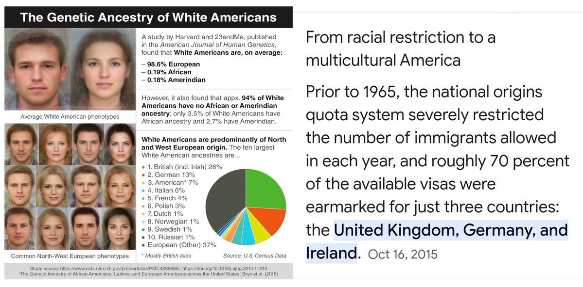 Homepage - Ethnic American